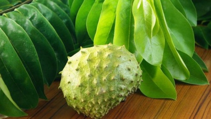 Le corossol, un fruit aux nombreuses vertus - Vivez vos passions..